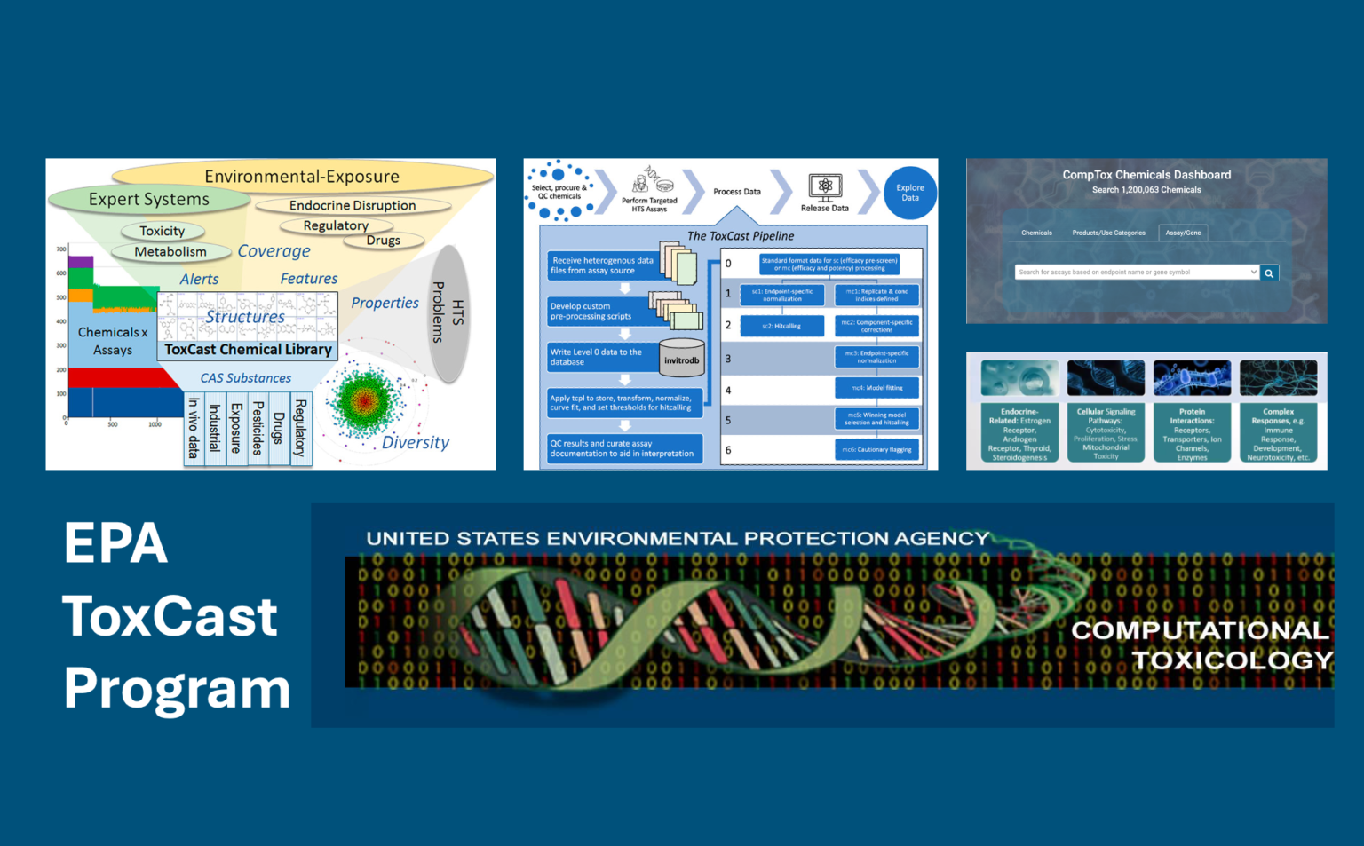 Recent Updates to EPA’s ToxCast Program – and Why We Care - Alto Predict